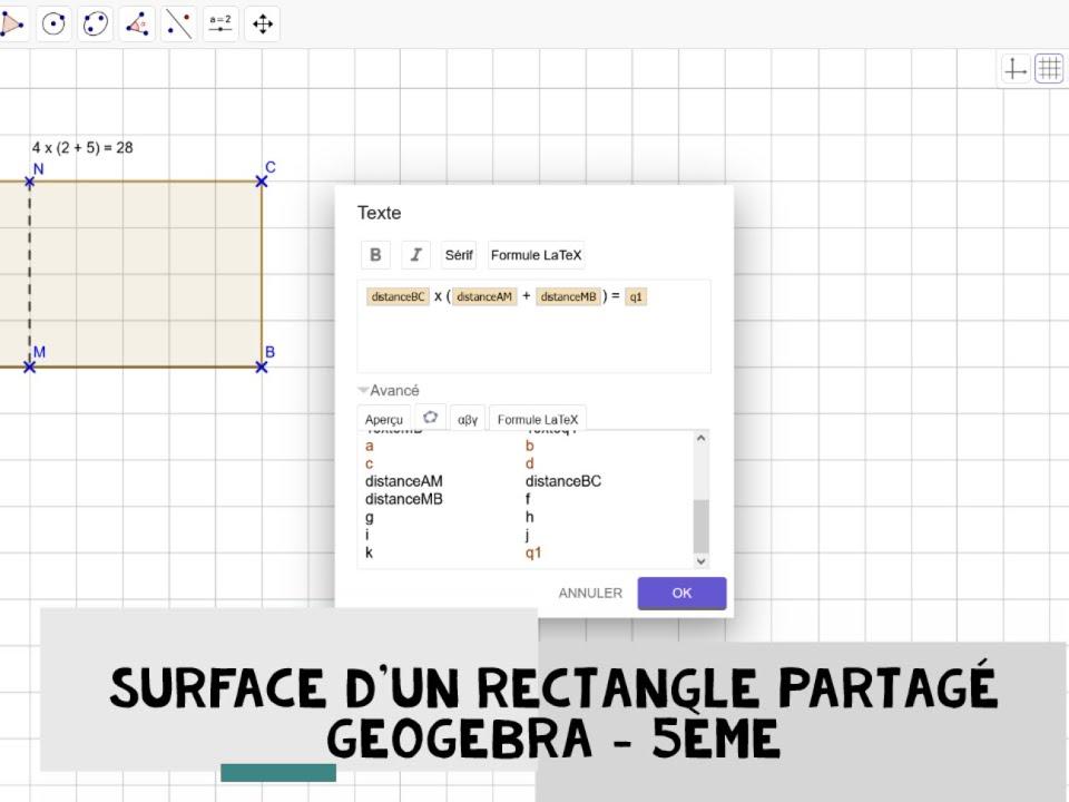 Surface d'un rectangle partagé - Travail dirigé - 5ème - Maths Schwan
